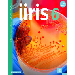 Iiris 6